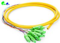 China 12F SC APC Pre - terminated  Pigtail SM 12F  Fiber Optic Pigtail OS2 G657A1 LSZH Jacket Breakout 0.9mm tail for sale