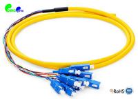 China 12 Cores SC UPC  Pre - terminated Fibre Optic Pigtail  G657A1 9 / 125μm Bunch fanout 0.9mm tail LSZH Jacket Yellow for sale
