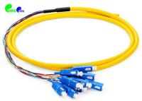 China 12 Cores SC UPC  Pre - terminated Fibre Optic Pigtail  G657A1 9 / 125μm Bunch fanout 0.9mm tail LSZH Jacket Yellow for sale