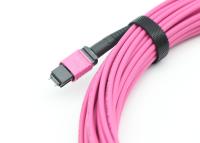 China 24F OM4 MPO Trunk Cable Senko MPO female - MPO Male 50 / 125μm With Magenta LSZH 3.0mm OD cable Jacket for sale