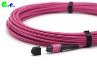 China 24F OM4 MPO Trunk Cable Senko MPO female - MPO Male 50 / 125μm With Magenta LSZH 3.0mm OD cable Jacket for sale