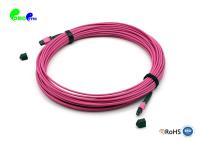 China 24F OM4 MPO Trunk Cable Senko MPO female - MPO Male 50 / 125μm With Magenta LSZH 3.0mm OD cable Jacket for sale