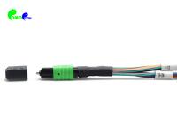 China 24F MPO Trunk Cable 3.0mm MPO ( Male ) - LC UPC Fanout 0.9mm 30cm For MPO/MTP-LC cassette for sale