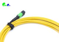 China SM 24F 10M MPO Female - MPO Female MPO Trunk Cable For 40G / 100G Data Center Solution for sale