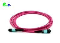 China MPO Trunk Cable OM4 24F 3.0mm 50 / 125μm MPO Female MPO Patch Cable LSZH Violet Senko for sale