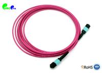 China MPO Trunk Cable OM4 24F 3.0mm 50 / 125μm MPO Female MPO Patch Cable LSZH Violet Senko for sale