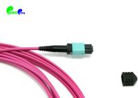 China MPO Trunk Cable OM4 12F MPO Female to LC UPC Pre - terminated Breakout 2.0mm 5M Type B LSZH Magenta for sale