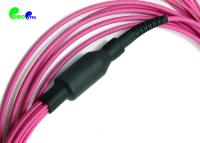 China MPO Trunk Cable OM4 12F MPO Female to LC UPC Pre - terminated Breakout 2.0mm 5M Type B LSZH Magenta for sale