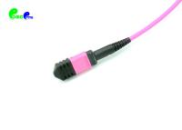 China MPO Trunk Cable OM4 24F MPO Female to MPO Female 50 / 125μm High Density Low Loss 0.35dB Type A Keyup - KeyDown polarity for sale