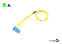 China LSZH Yellow Jacket Fiber Optic Pigtail 12F 9 / 125μM SC UPC Ribbon Fanout 2.0mm for sale