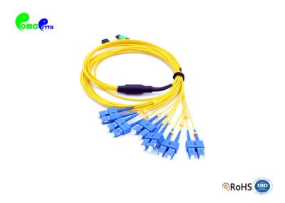 China SM 12 Fibers MPO Trunk Cable MPO Female - SC UPC Harness Cable 9 / 125μm Straight Fanout SC Duplex 0.5m Type A LSZH for sale