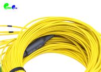 China 20 Fibers Pre - teminated MPO Trunk Cable SM MPO Female to E2000 APC 0.35dB Max Connector IL With Yellow Color for sale