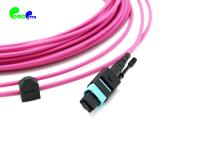 China MTP Trunk Cable OM4 12F 3.0mm MTP Female 50 / 125μm With Push / Pull Tab Magenta LSZH Jacket for sale