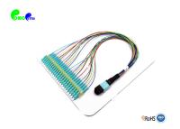 China Fanout 0.9mm MTP male - LC Cable OM4 24 Fibers  30cm  For MPO / MPO - LC cassette / panels for sale