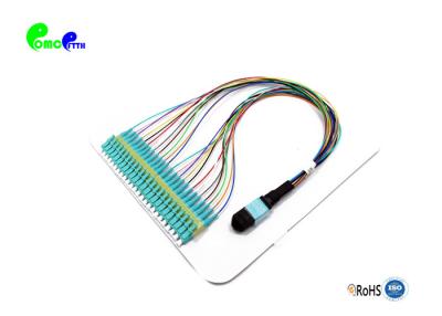 China Fanout 0.9mm MTP male - LC Cable OM4 24 Fibers  30cm  For MPO / MPO - LC cassette / panels for sale