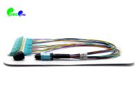 China Fanout 0.9mm MTP male - LC Cable OM4 24 Fibers  30cm  For MPO / MPO - LC cassette / panels for sale
