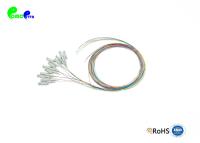 China 12F MM 0.9mm E2000 PC G651 850nm LSZH Fiber Optic Pigtail for sale