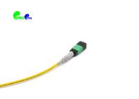 China MTP Trunk Cable 12 Fibre 9 / 125μm MTP to MTP Female Single Mode OS2 LSZH Type A Patch Cable for sale