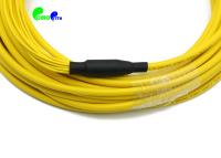 China 1310nm 24F LC UPC SM Fanout Fiber Patch Cord Pre Terminated for sale