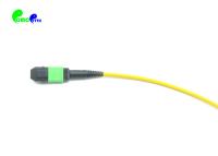 China 2 Meter Standard Loss Senko 24F MPO (F) to 2 X 12F MPO(F) Trunk Cable SM 9/125um LSZH Yellow Conversion Cables for sale