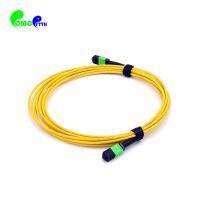 China High quality MPO - MPO trunk cable with SM OM3 OM4 OM5 of 12F , 24F , 48F , 72F , 96F , 144F cable with OEM service for sale