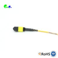 China 1550nm 2 Meter LSZH MTP Trunk Cable 12F MTP Female To MTP Female for sale