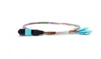China 12 cores MTP ( male ) - LC  Fanout 0.9mm 30cm OM3 10G - 100G for MTP-LC cassette & Patch panel for sale