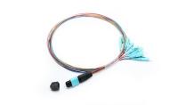 China 12 cores MTP ( male ) - LC  Fanout 0.9mm 30cm OM3 10G - 100G for MTP-LC cassette & Patch panel for sale