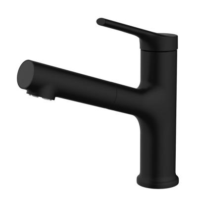 China Hotel Bathroom Luxury Basin Taps Pulled Tap Easy To Use Ceramic Valve Core for sale