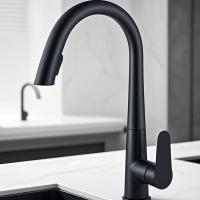 China Barss Bright Black Single Handle Kitchen Faucet Pull Down Special Surface Treatment for sale