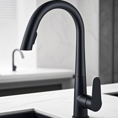 China Barss Bright Black Single Handle Kitchen Faucet Pull Down Special Surface Treatment for sale