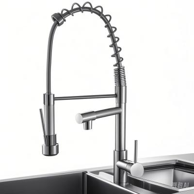 China 20 Inches Hose Length Kitchen Faucet with Stainless Steel Material and Long-Lasting Gravity Casting Technology for sale