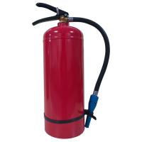 China 500ml Fire Foam Extinguisher Portable Mobile Small Mini Car Fire Extinguisher for sale