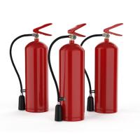 China Stainless Steel 1KG Dry Powder Fire Extinguisher Red Foam Spray for Car Bus Stop for sale