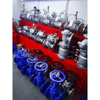 China Electric Soft Seal Flange Gate Valve PN10 PN16 Ductile Iron Stainless Steel Fire Valve for sale