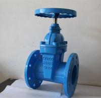 China Electric Soft Seal Flange Gate Valve PN10 PN16 Ductile Iron Stainless Steel Fire Valve for sale