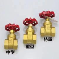 China Electric Soft Seal Flange Gate Valve PN10 PN16 Ductile Iron Stainless Steel Fire Valve for sale