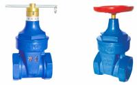 China Electric Soft Seal Flange Gate Valve PN10 PN16 Ductile Iron Stainless Steel Fire Valve for sale