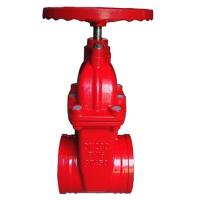 China Groove Rising Ductile Iron Gate Valve NRS Fire Pipeline DN50 DN100 DN150 DN200 for sale