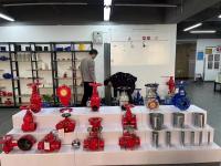 China Manual Fire Gate Valve Water Gas Steam Oil Lugged Wafer Type Butterfly Valve 304 Body EPDM Disc for sale