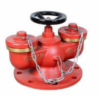 China Pillar Fire Fighting Landing Valve Hydrant Ductile Iron Customized for sale