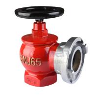 China Double Outlets Fire Fighting Hydrant SNSS65 SNSSW65 DN65 80MM Ductile Iron for sale