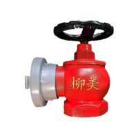 China 2 1/2 Inch Double Outlet Fire Hydrant Ductile Cast Iron Cabinet SNSS65 System for sale