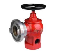 China 2 1/2 Inch Double Outlet Fire Hydrant Ductile Cast Iron Cabinet SNSS65 System for sale