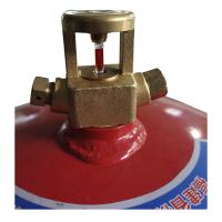 China FM200 HFC-227ea 10kg Automatic Hanging Fire Extinguisher with Alarm System for sale