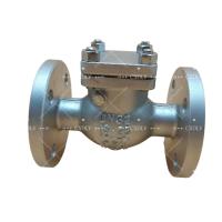 China Stainless Steel 304 Flanged Check Valve 150LB Pressure DN25-DN300 for Chemical Processing for sale