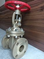 China CF8 Stainless Steel Gate Valve 1-20 Inch Flange Connection with PN10-PN40 Pressure Rating for sale