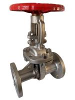 China 150LB Stainless Steel CF8M Gate Valve with Flange Ends - 2