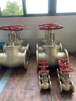 China Stainless Steel Flanged Globe Valve Bolted Bonnet OS&Y Rising Stem 2 Inch 150LB for sale