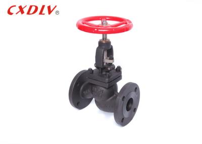 China Full Bore Non-Return Globe Valve Cast Steel A216 Socket Weld DN15-200 Pressure Rated Industrial Valve for sale
